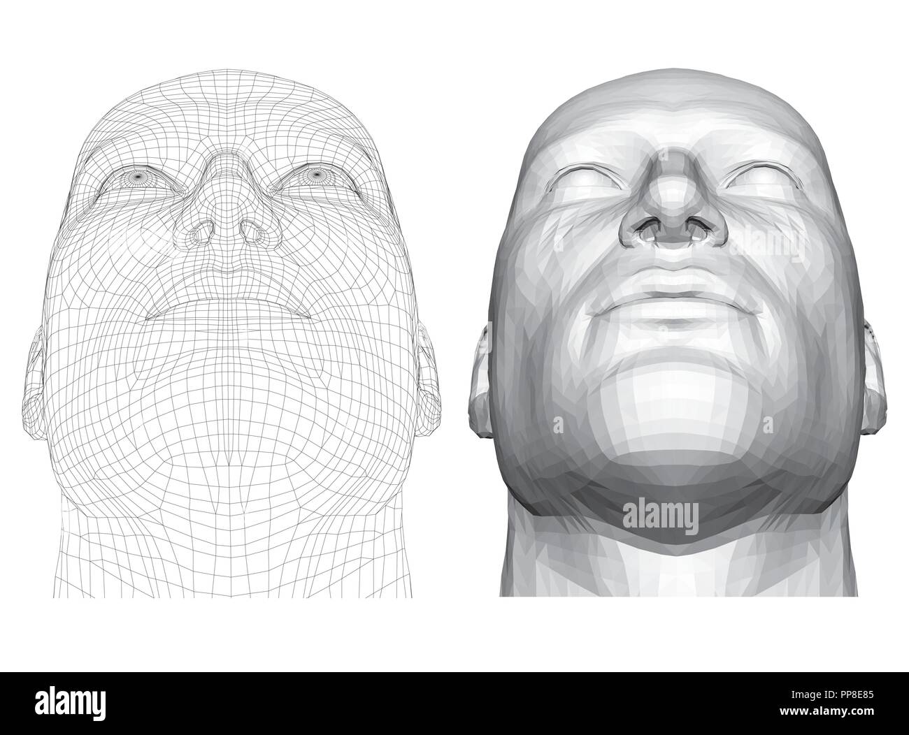 Realistic male head. Polygonal skin. Isolated. 3D. EPS 8. Vector ...