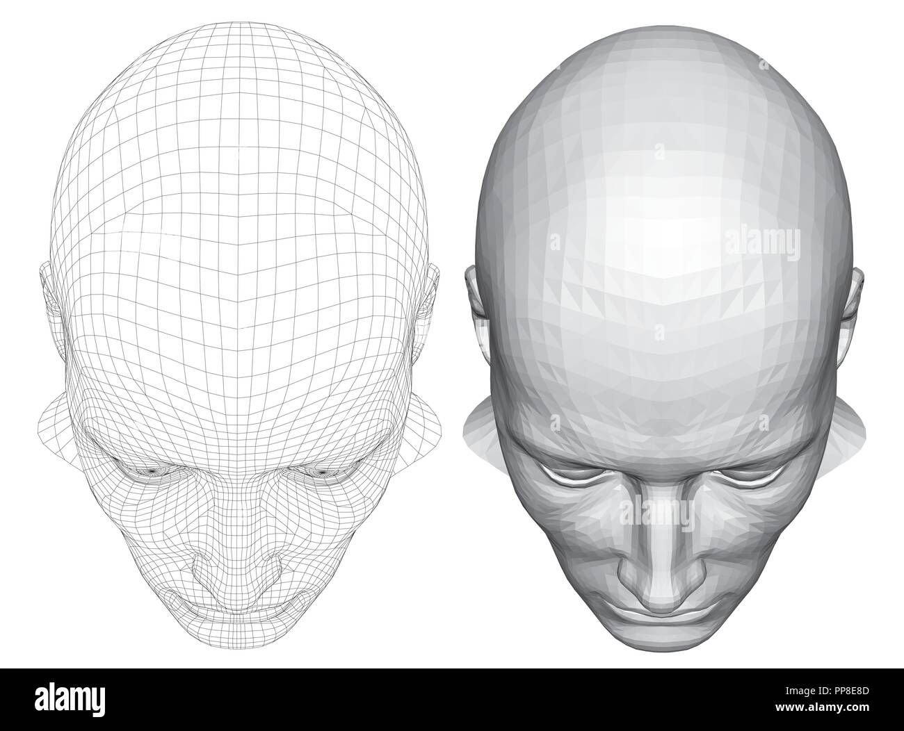 Realistic male head. Polygonal skin. Isolated. 3D. EPS 8. Vector ...