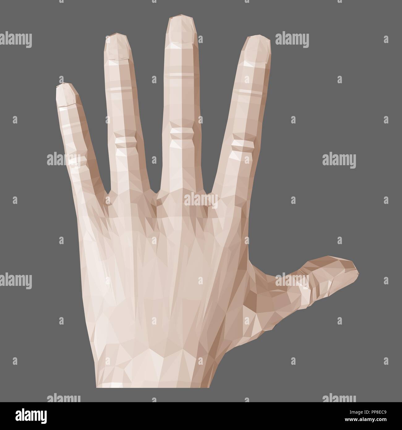 Polygonal human hand back side. Vector illustration. 3D Stock Vector ...