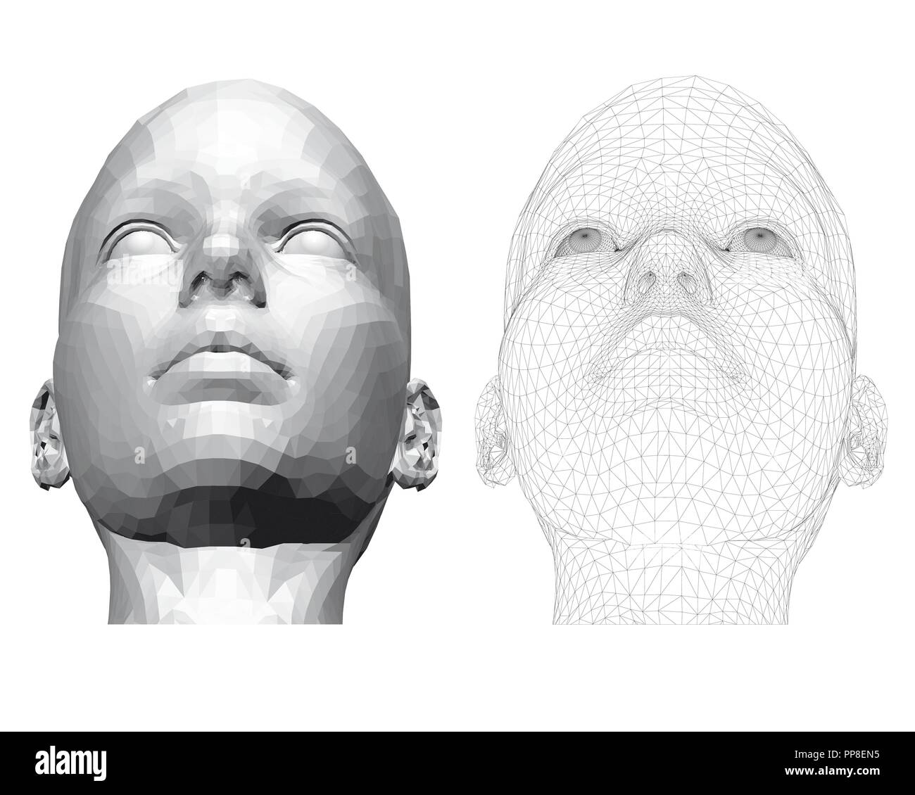 Vector illustration of 3d polygonal girl head, two kinds. Mesh coverage ...