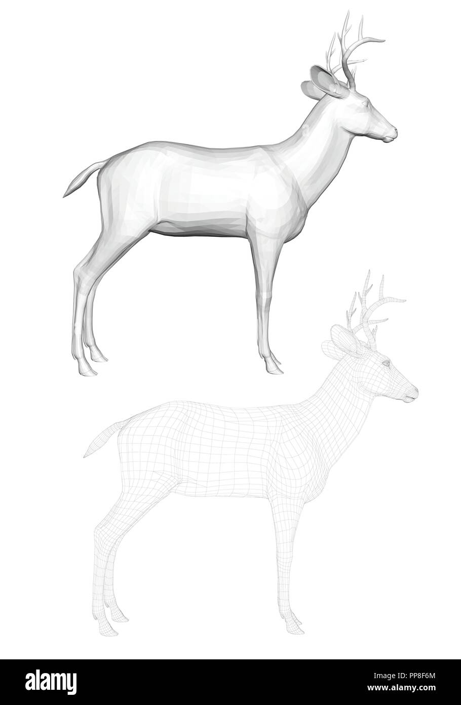 Vector illustration of roe deer, side view. Two deer with a polygonal ...