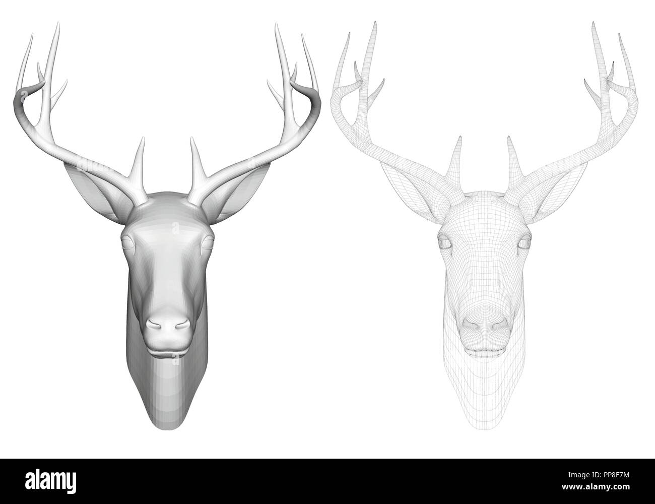 Vector illustration of a head of roe deer, front view. Two heads of ...