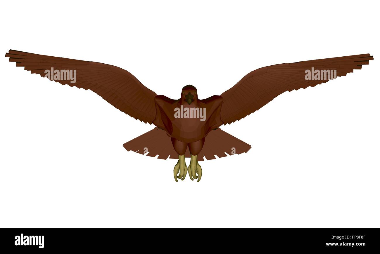 Vector illustration of an eagle 3D. Isolated Stock Vector Image & Art ...