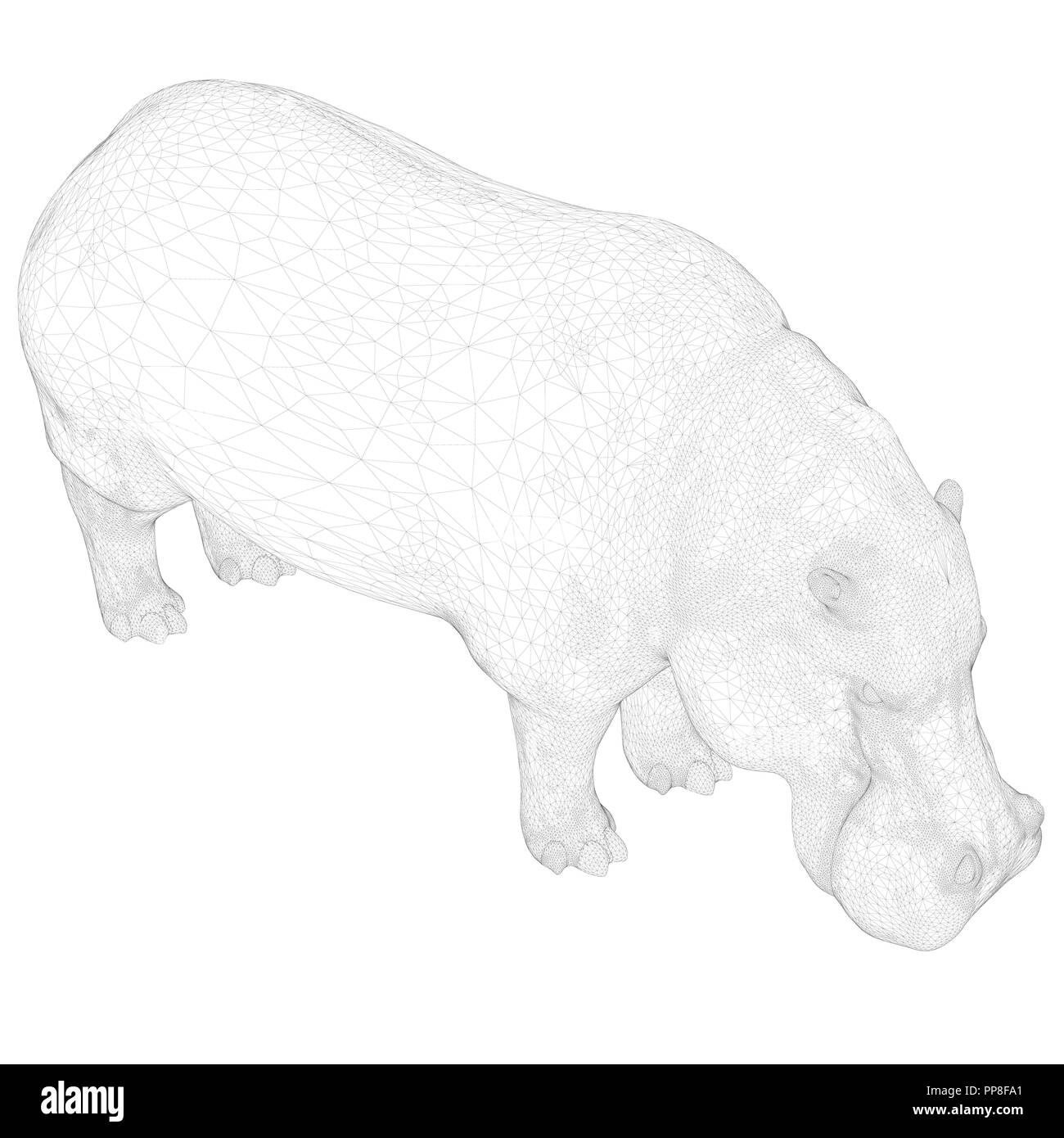 Hippopotamus anatomy hi-res stock photography and images - Alamy