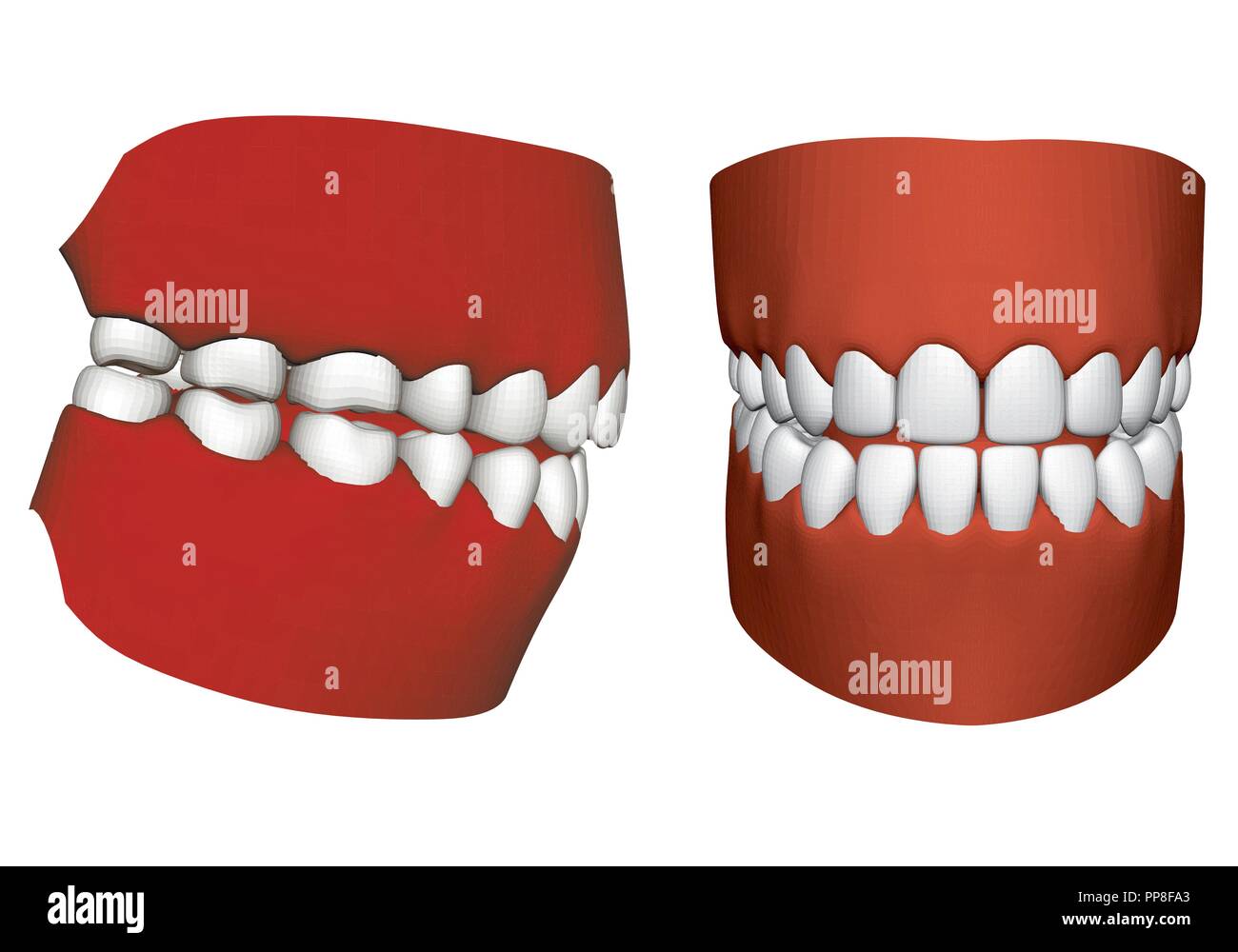 Upper front teeth Stock Vector Images - Alamy