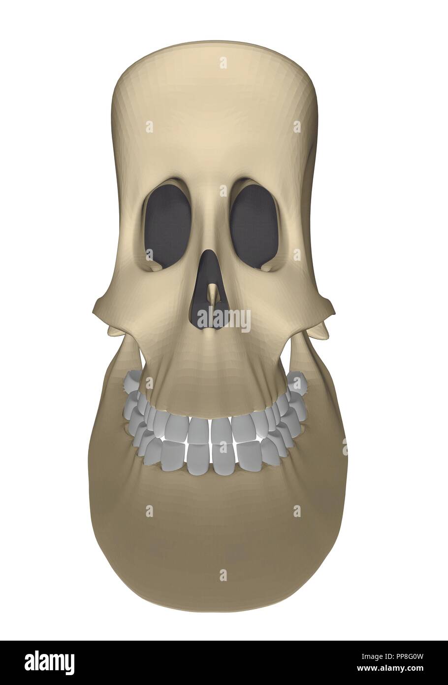 Deformed human skull in cartoon style. 3D. Vector illustration Stock ...