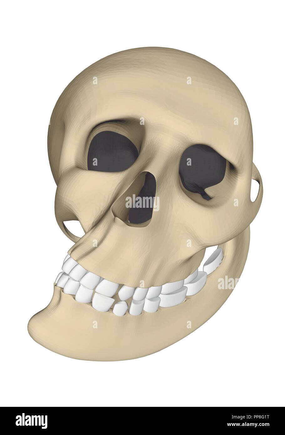 Deformed human skull in cartoon style. 3D. Vector illustration Stock ...