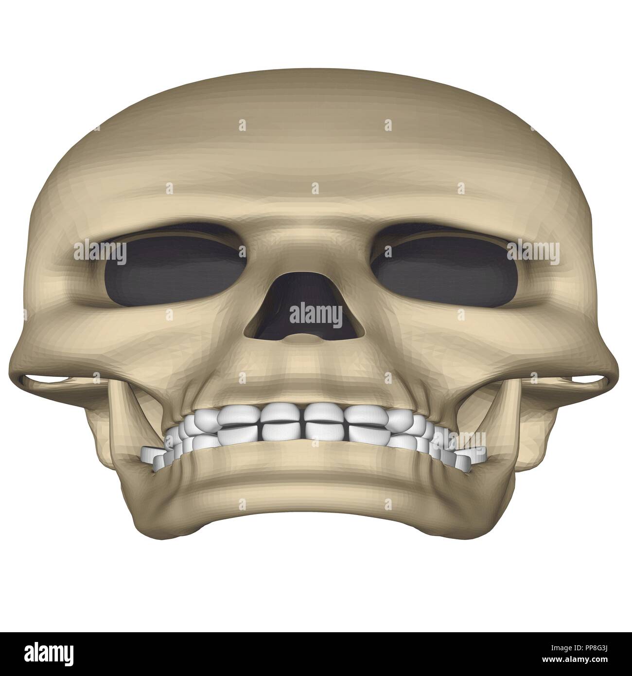Deformed human skull in cartoon style. 3D. Vector illustration Stock ...