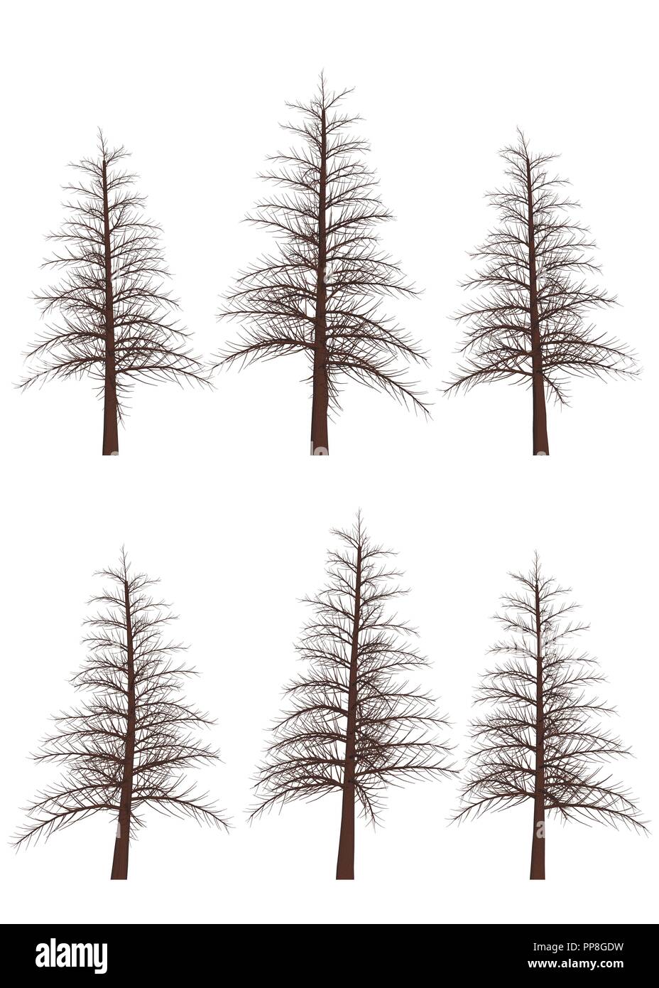 Set with a tree of different shapes, without leaves. 3D. Vector ...