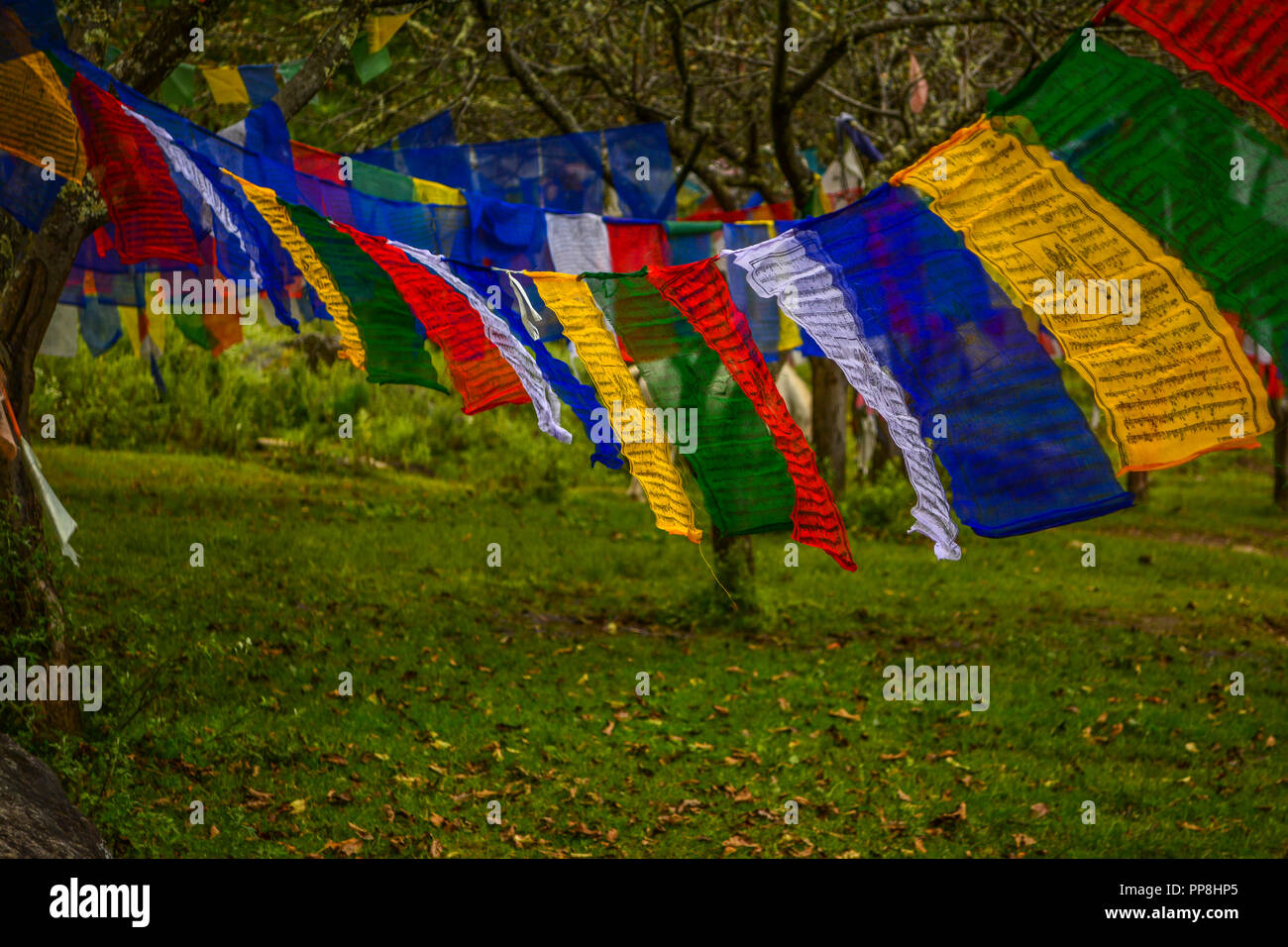 Buddhist buddhism prayer flags hi-res stock photography and images - Alamy