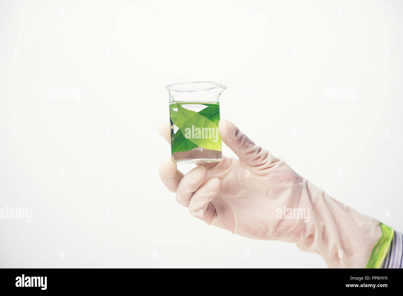 Chemical liquid in glassware of science lab on white background Stock ...