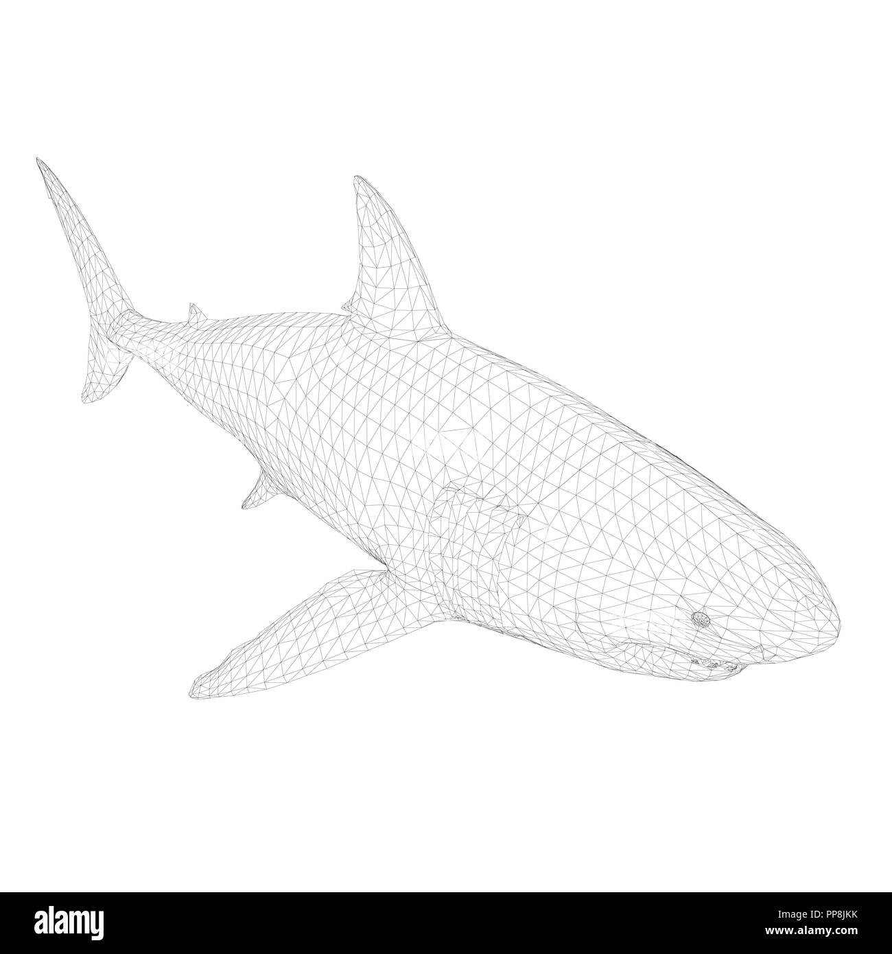 Polygonal 3D shark. Dangerous shark isolated on white background. The ...