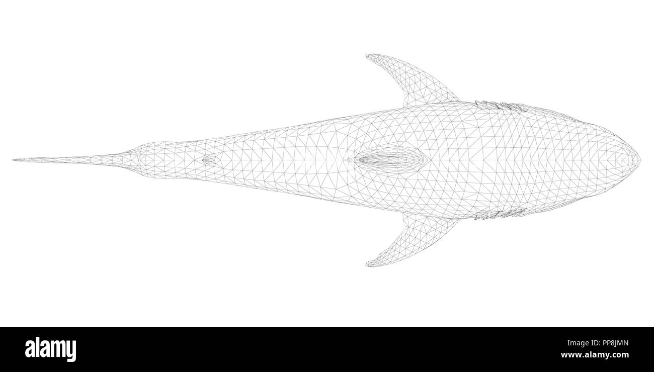 Polygonal 3D shark. Dangerous shark isolated on white background. The ...