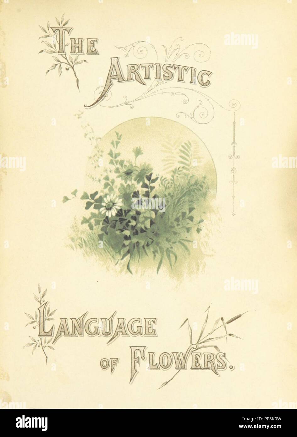 Artistic language flowers illustrations image hi-res stock photography ...