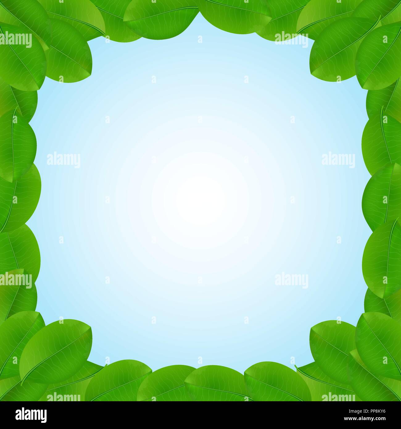 Summer background with green leaves around the edges. Vector ...