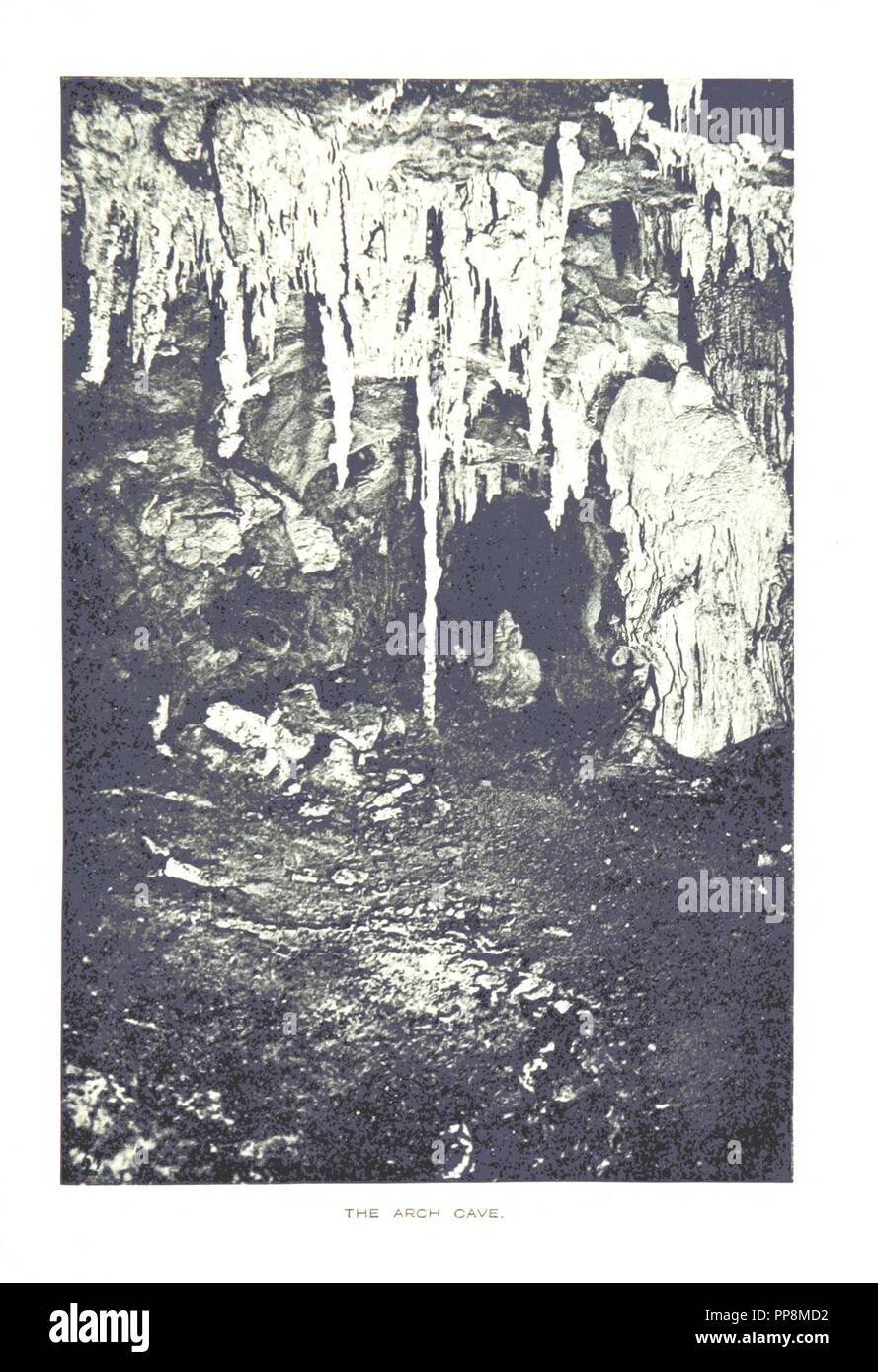 Image from page 55 of 'The Jenolan Caves an excursion in Australian ...