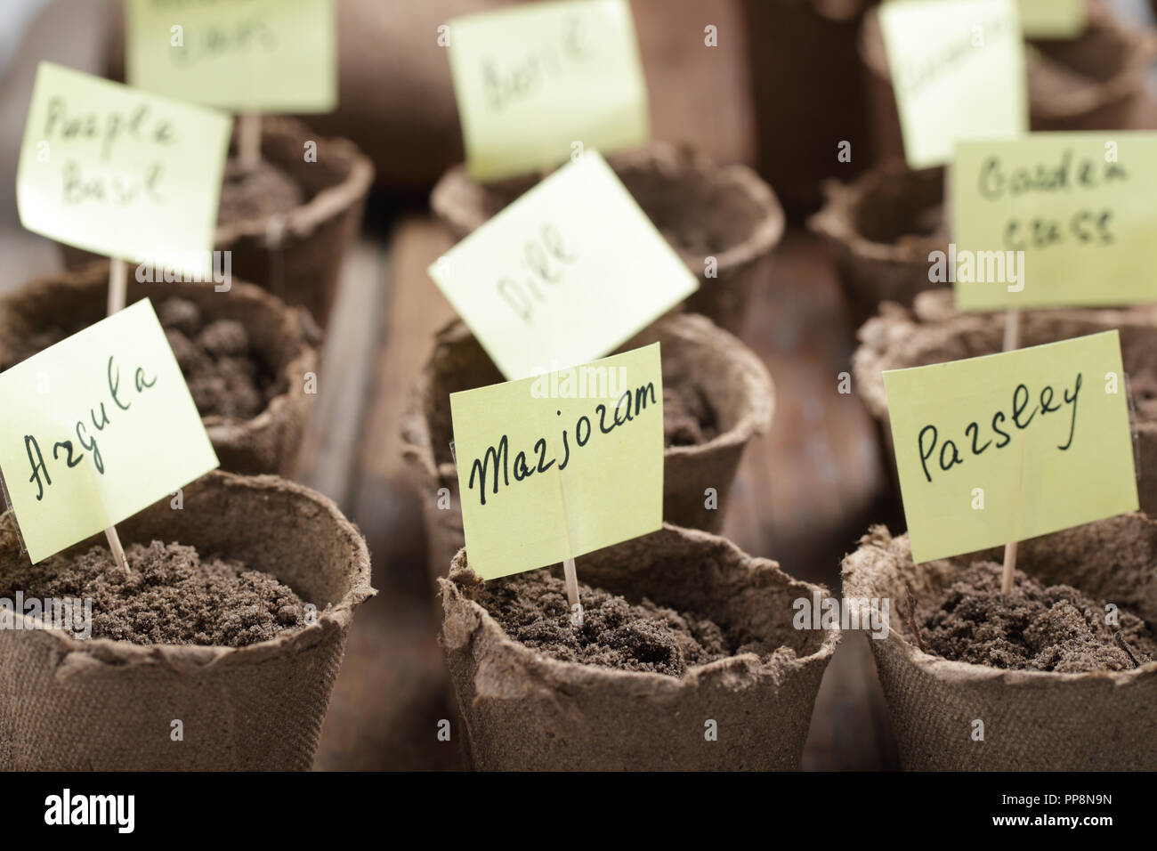 Labeled plants hi-res stock photography and images - Alamy