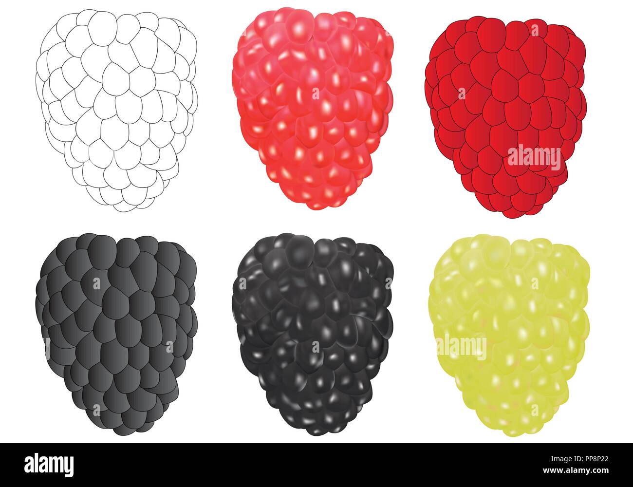 Set with raspberries. Vector illustration. Raspberry of different ...