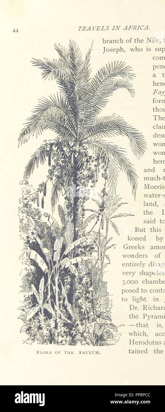 Image from page 60 of 'Travels in Africa during the years 1875-1878 ...