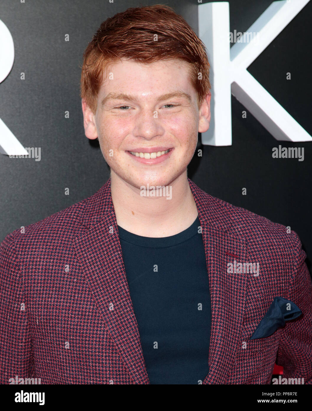 Celebrities attend Netflix's Ozark Season 2 Special Screening at ...