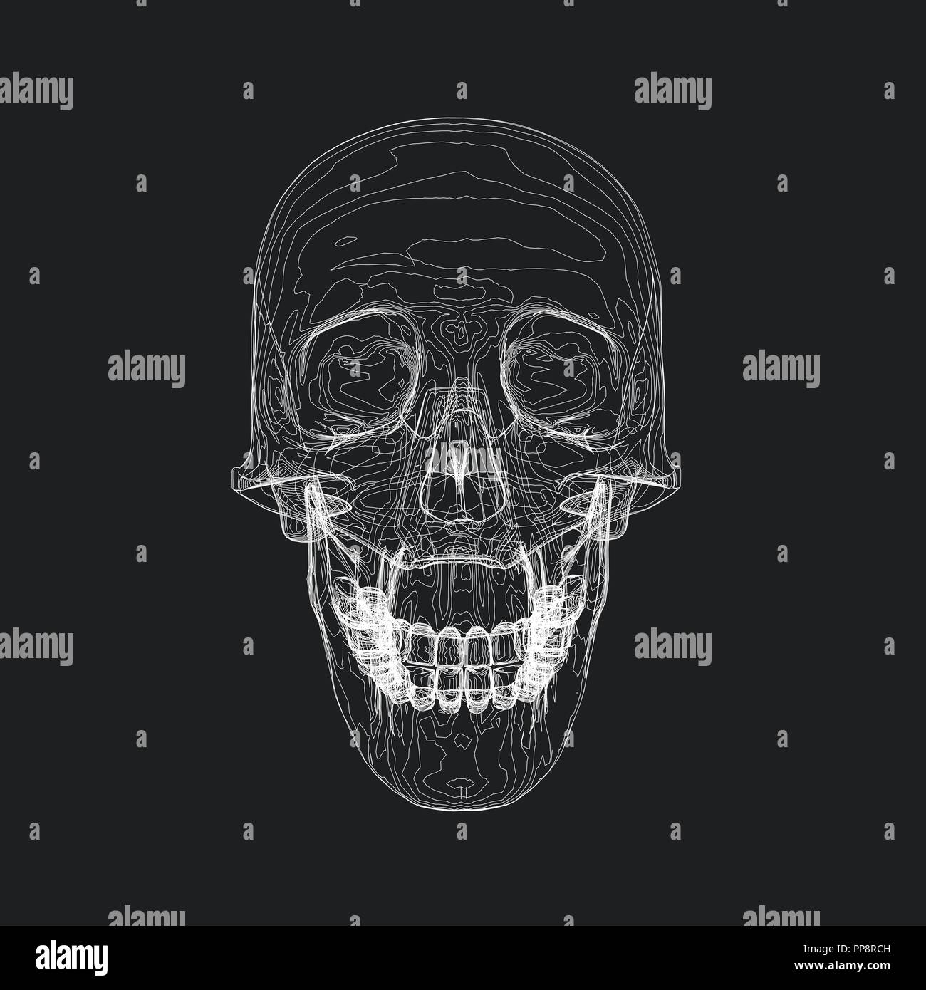 Skull shape. Vector illustration of a skull consisting of white lines ...