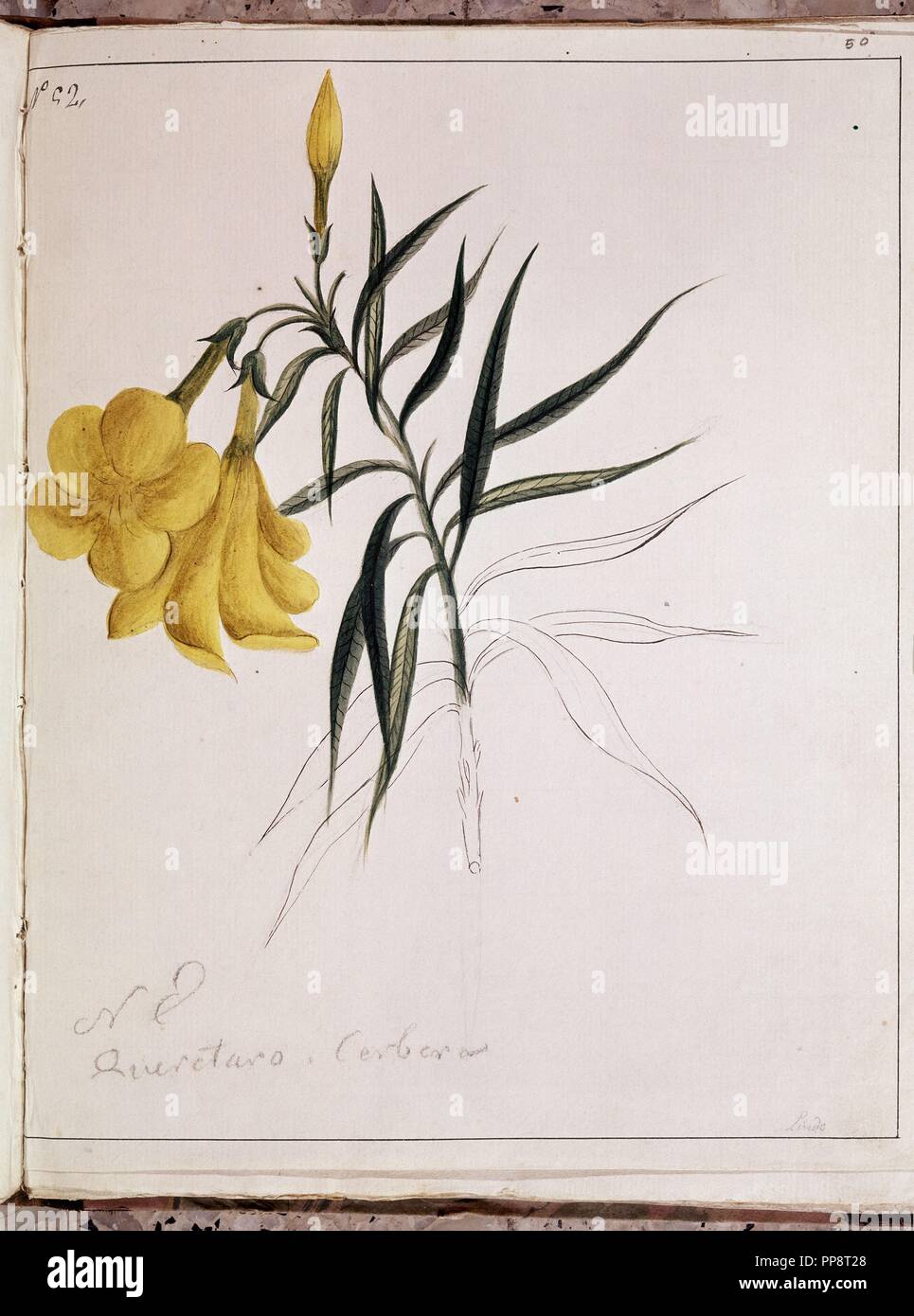 Dibujos hi-res stock photography and images - Alamy