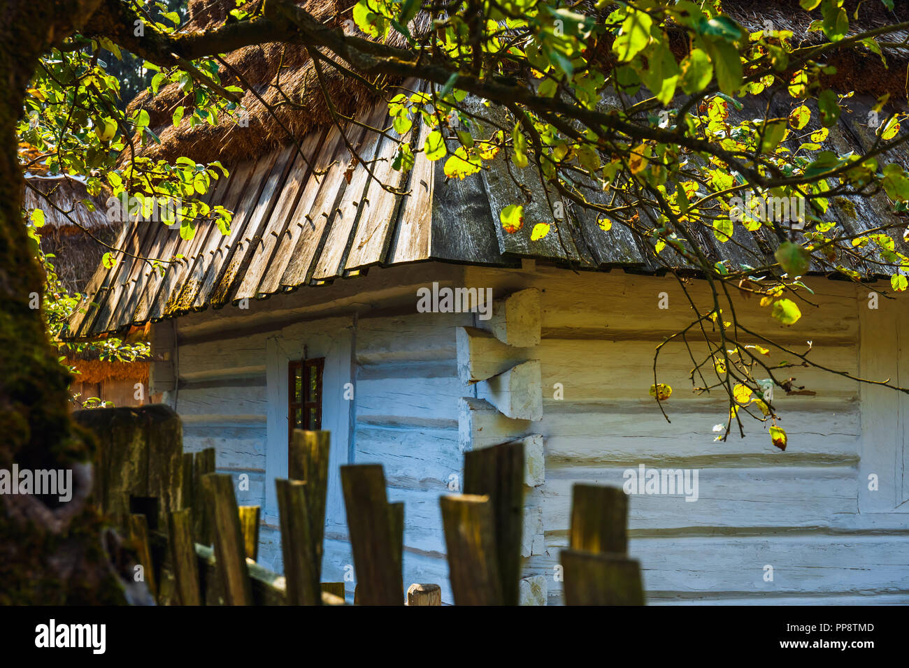 Old log house with thatched roof, traditional rural architecture in ...