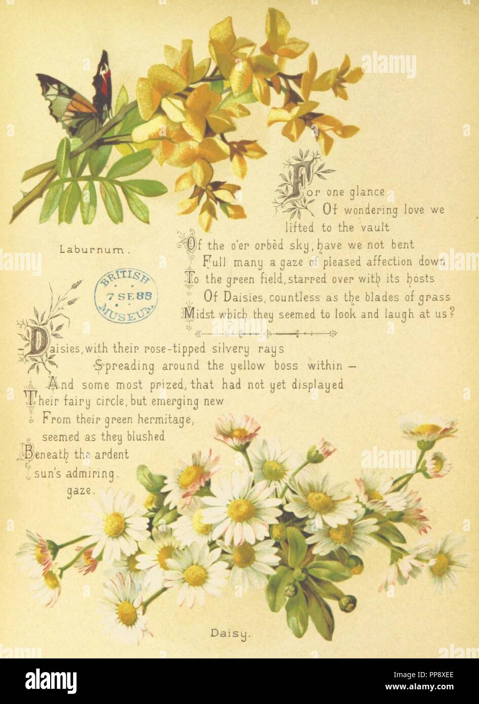 Artistic language flowers illustrations image hi-res stock photography ...