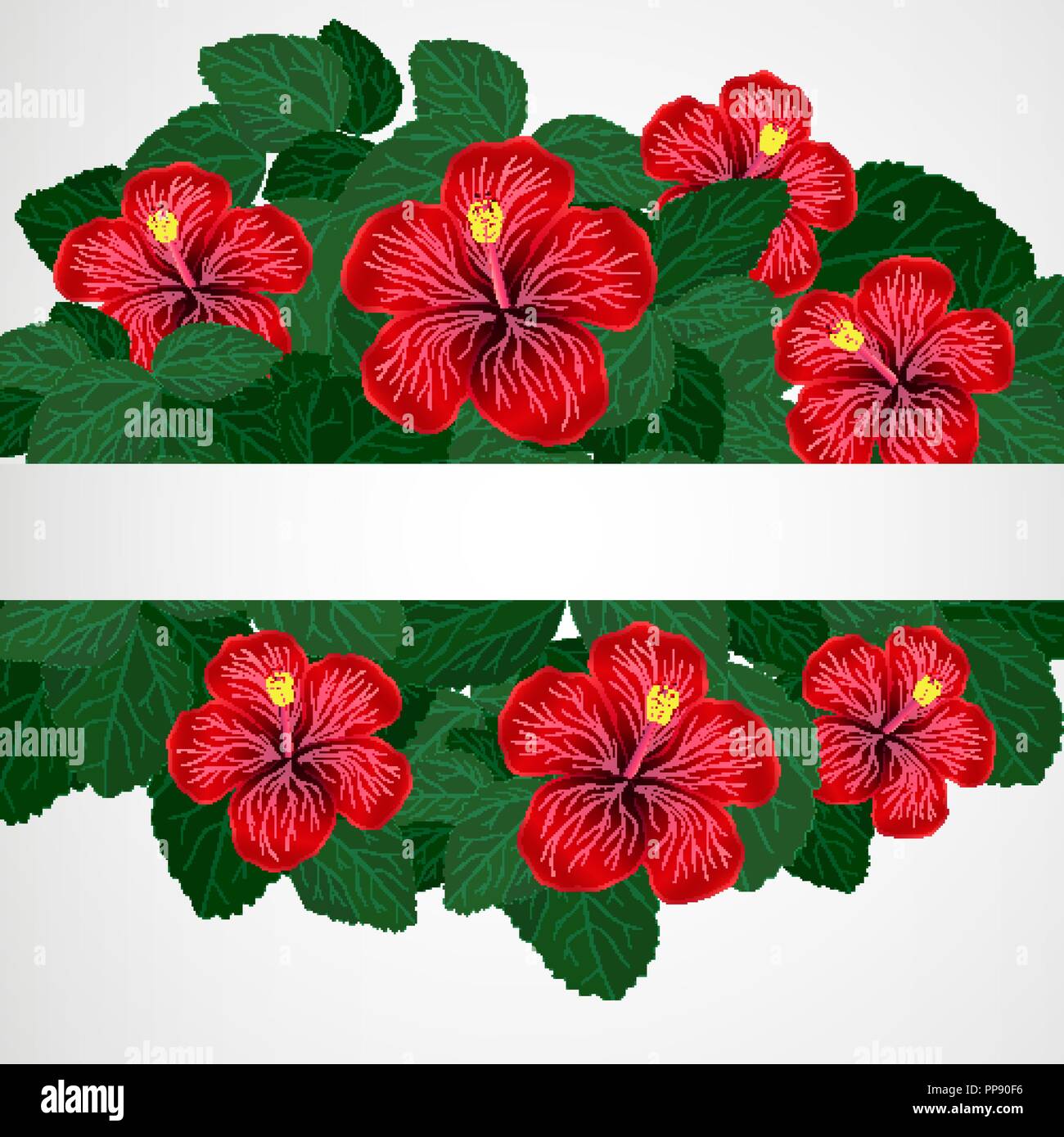 Floral design background. Hibiscus flowers Stock Vector Image & Art - Alamy