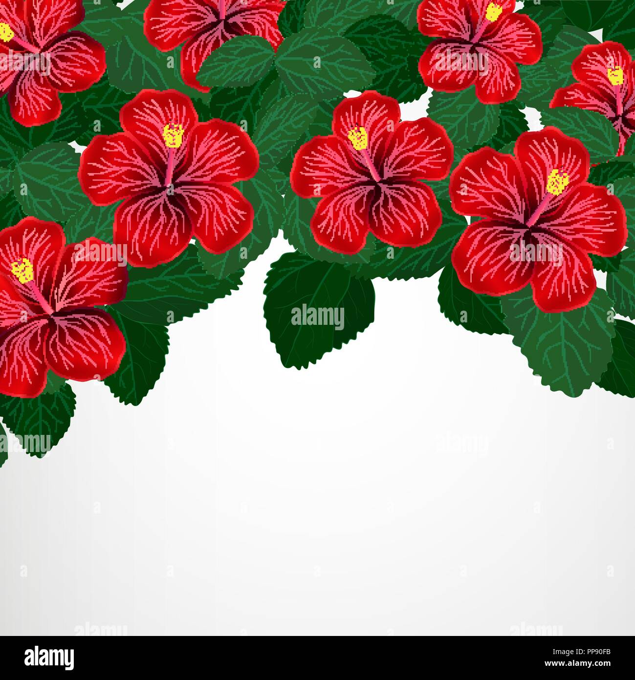 Floral design background. Hibiscus flowers Stock Vector Image & Art - Alamy