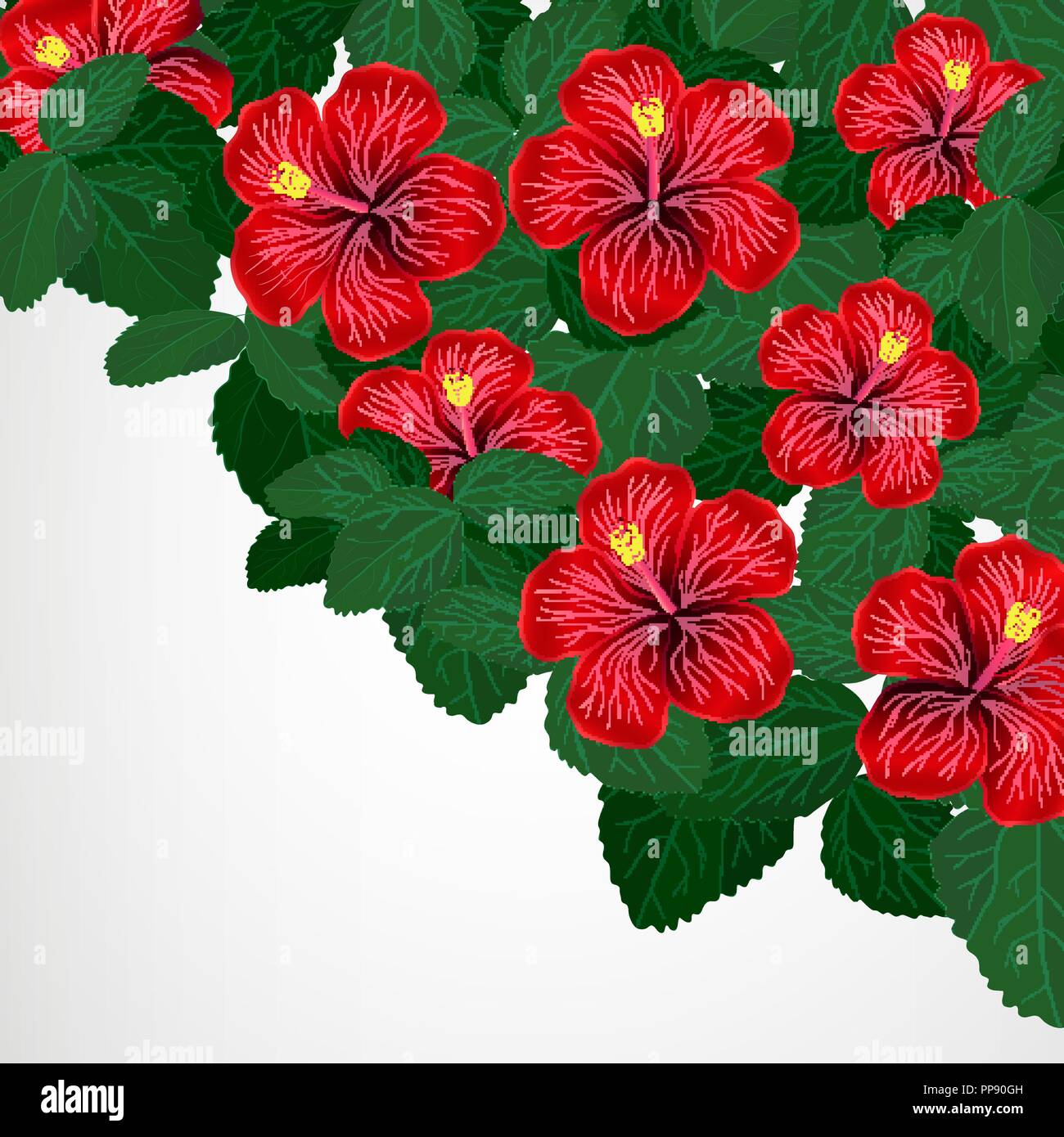 Floral design background. Hibiscus flowers Stock Vector Image & Art - Alamy