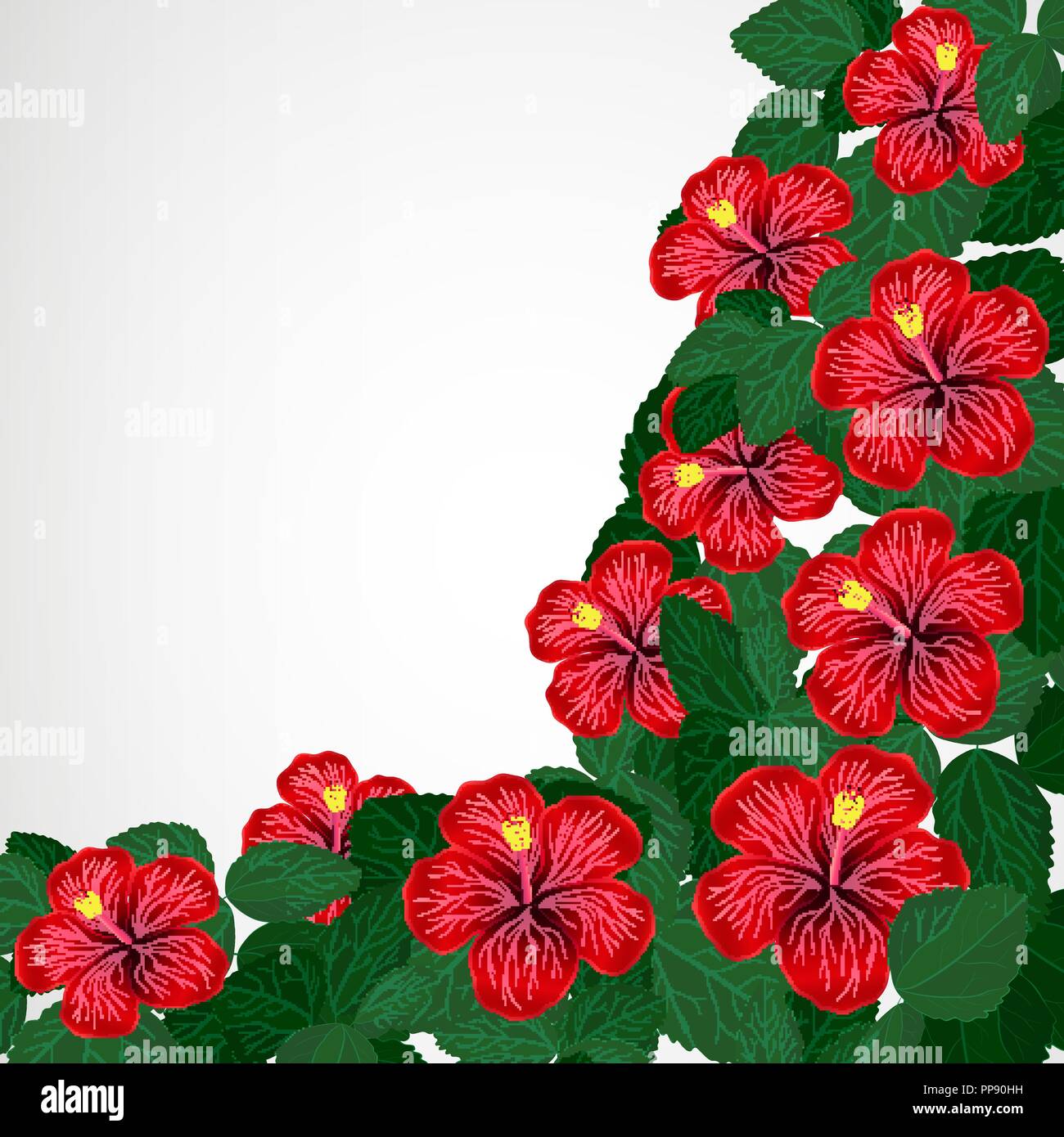 Floral design background. Hibiscus flowers Stock Vector Image & Art - Alamy