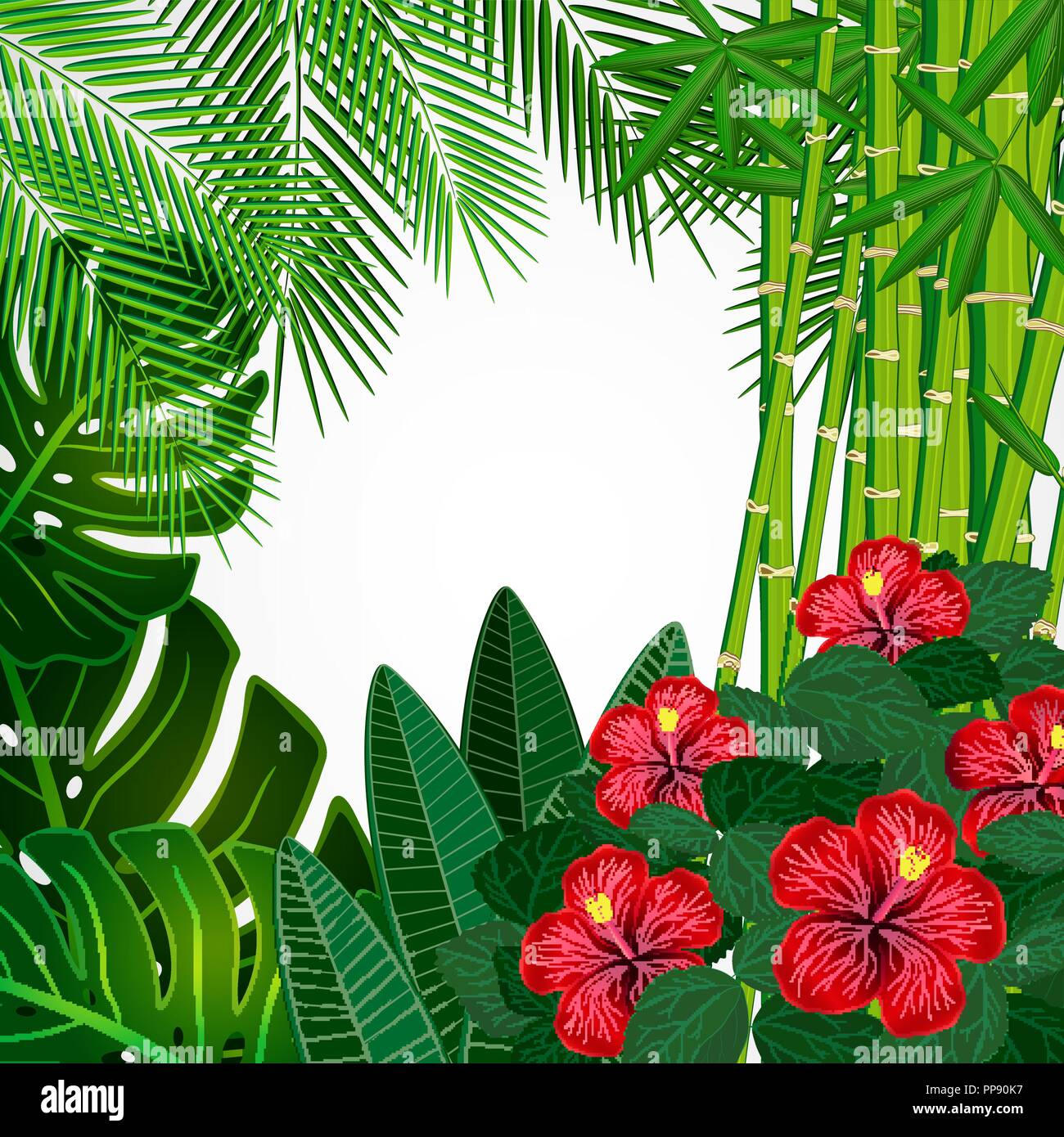 Tropical floral design background Stock Vector Image & Art - Alamy