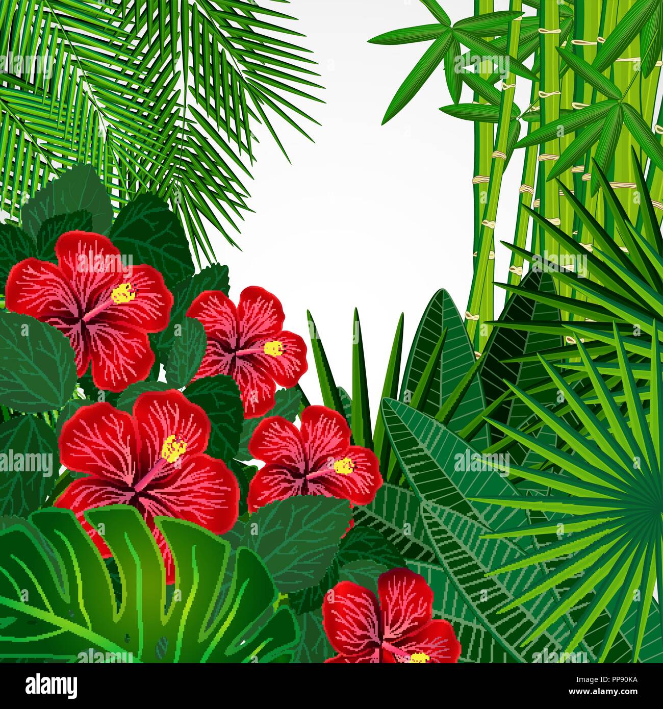 Tropical floral design background Stock Vector Image & Art - Alamy