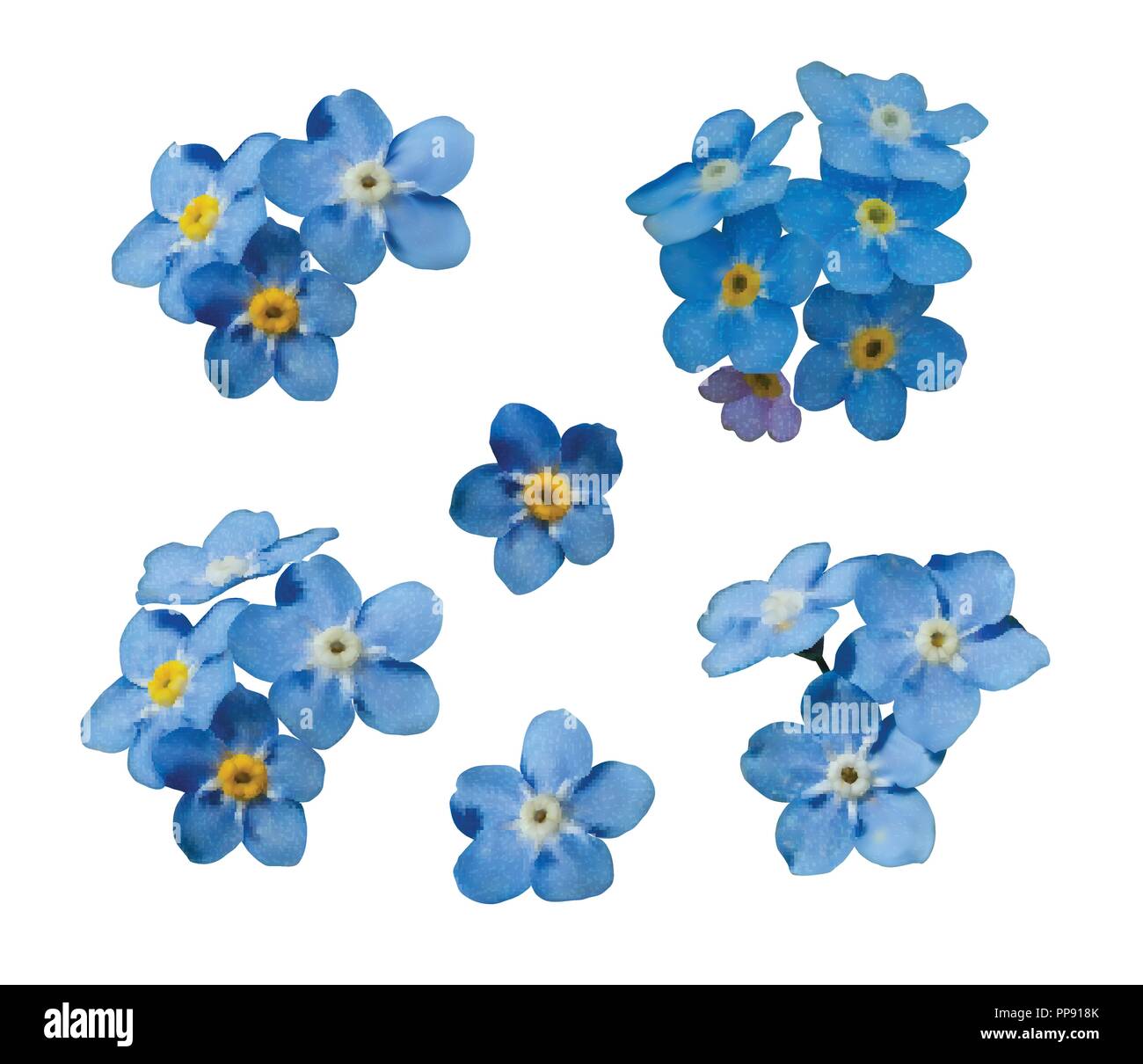 Blue forget me not spring flowers. Decorative elements vector set Stock ...