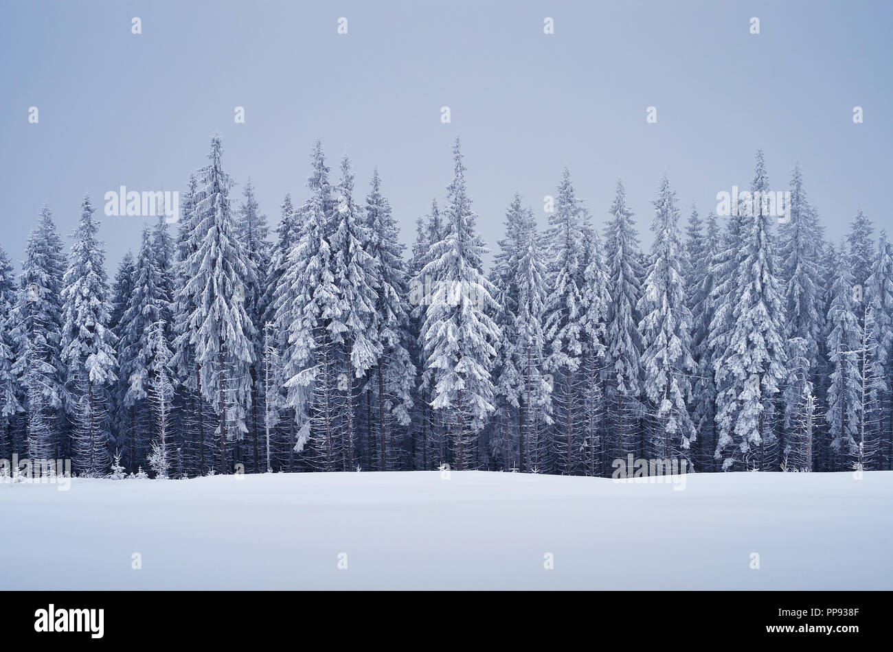 Snowfall background hi-res stock photography and images - Alamy