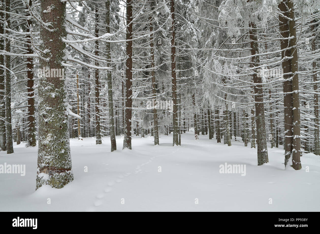 Dull gray landscape hi-res stock photography and images - Alamy