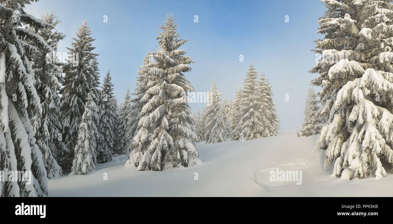 Panorama snow hi-res stock photography and images - Alamy