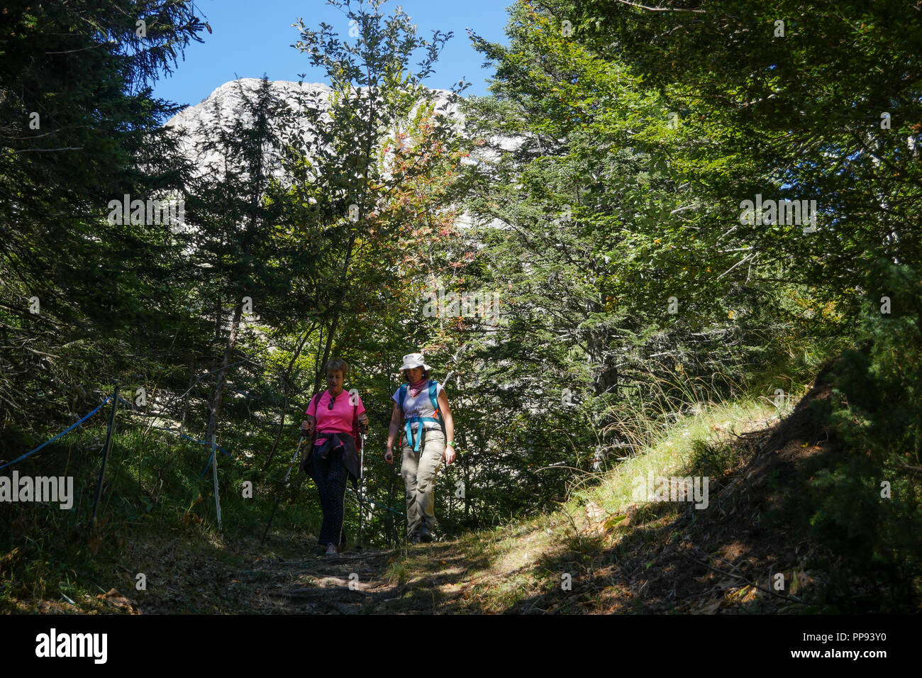Mountain hiking, Chartreuse range, Isere, France Stock Photo - Alamy