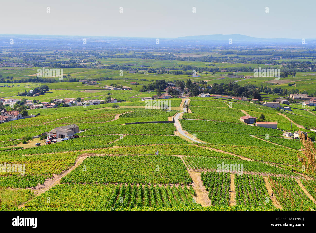 Fleurie France Wine High Resolution Stock Photography and Images - Alamy