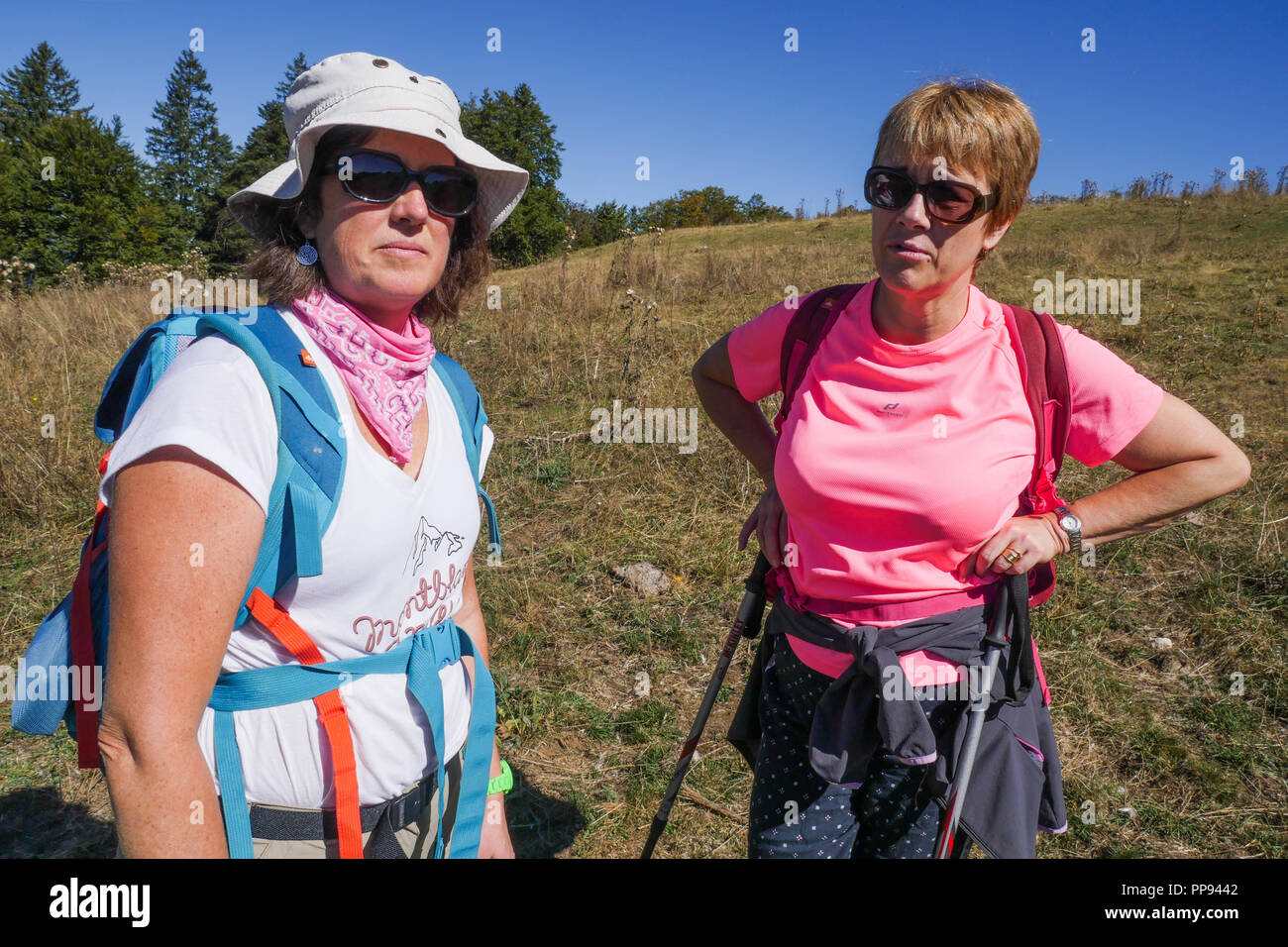 Chartreuse mountain range hi-res stock photography and images - Alamy