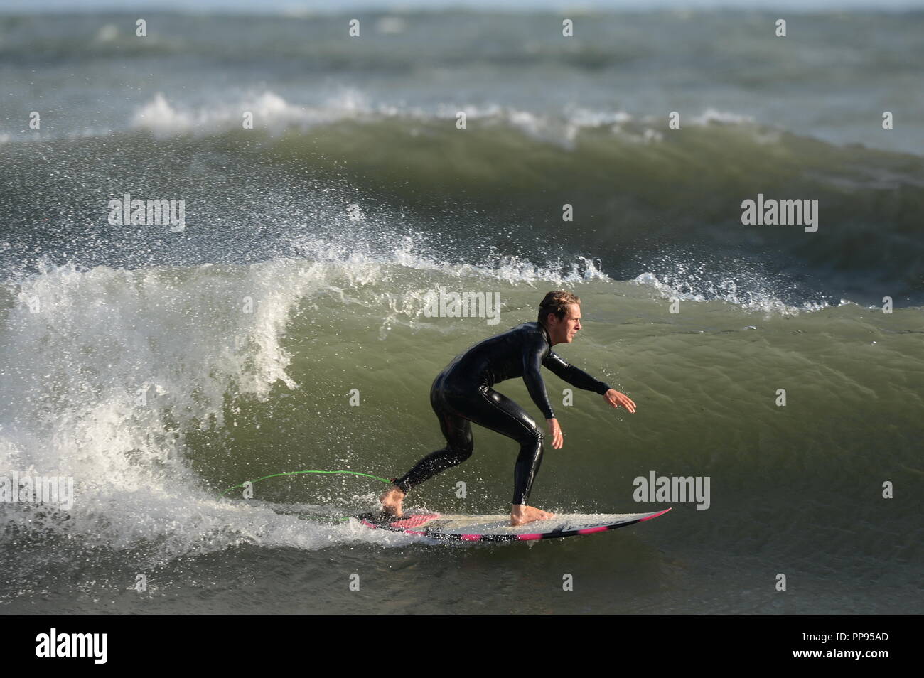 Surfing on the Gower Stock Photo - Alamy
