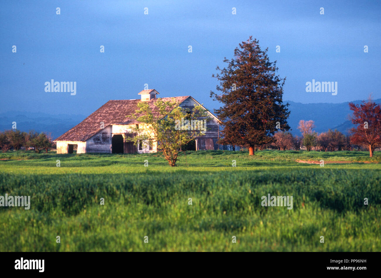 1980s farming usa hi-res stock photography and images - Alamy