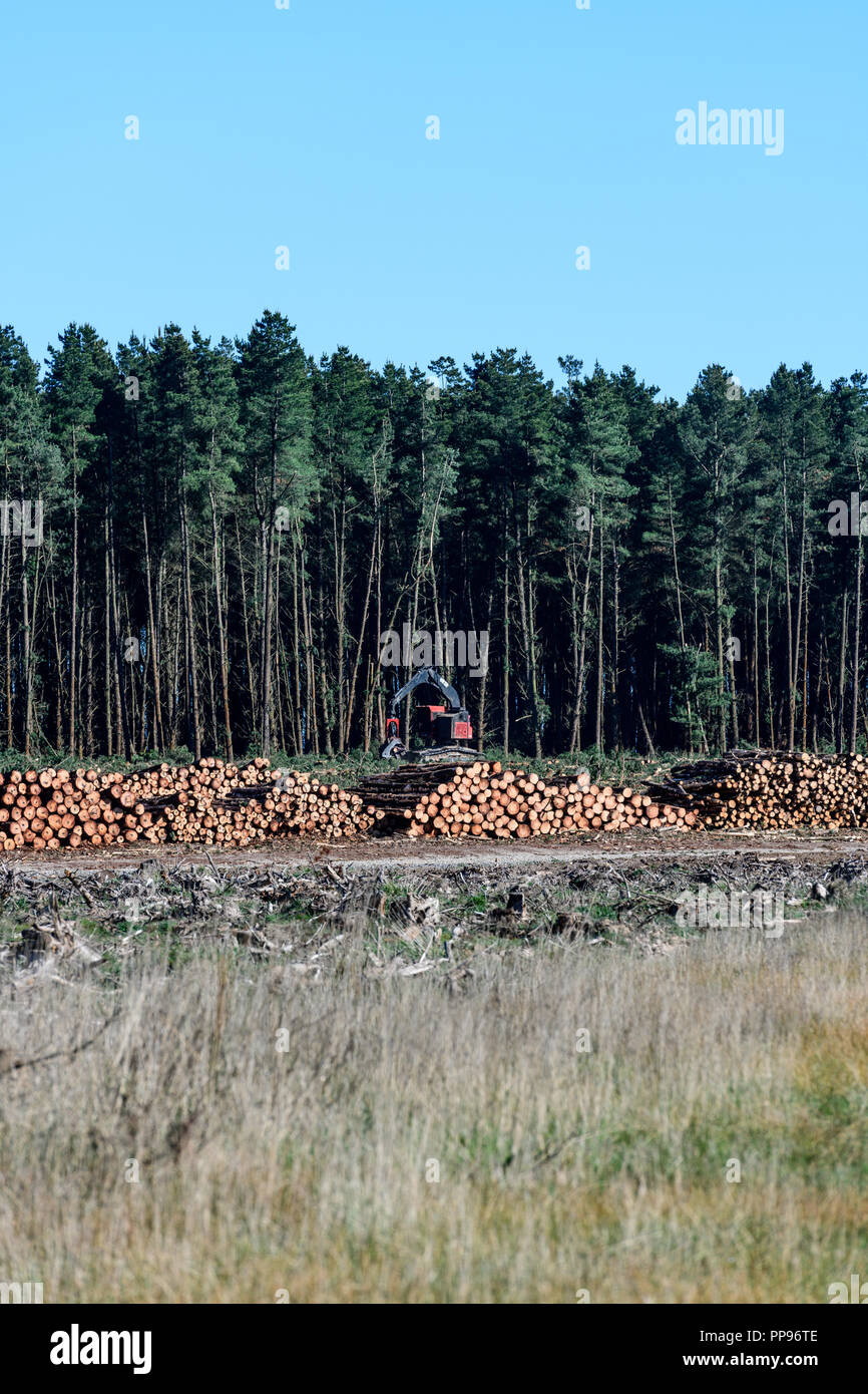 Mechanized logging hi-res stock photography and images - Alamy