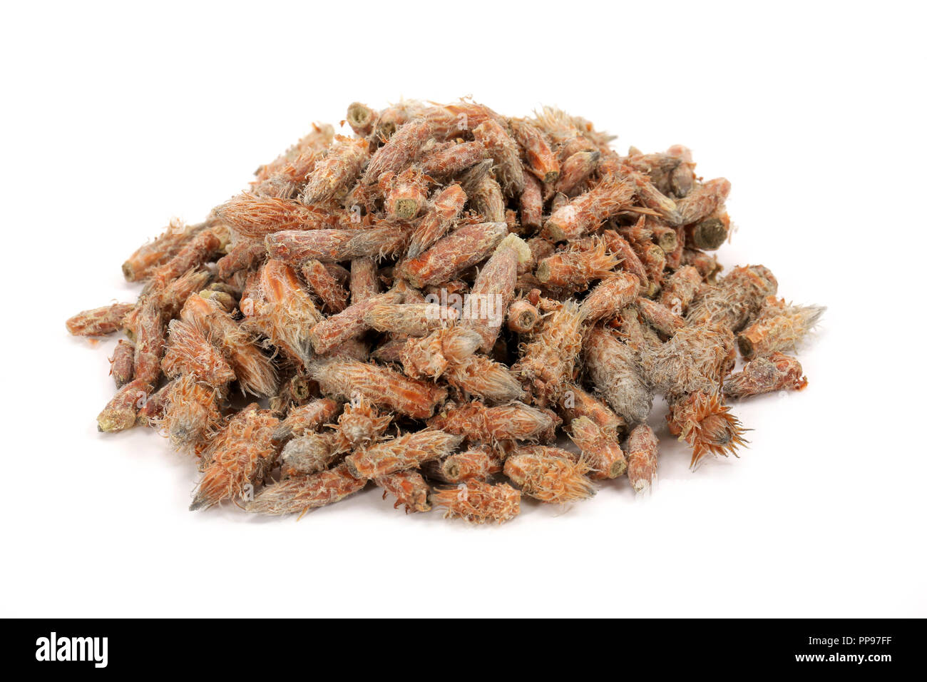Pine cone seeds hi-res stock photography and images - Alamy