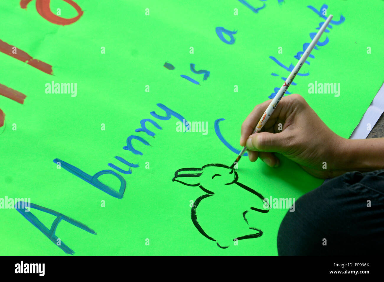 Kolkata, India. 23rd Sep, 2018. Animal right activists campaign for ...