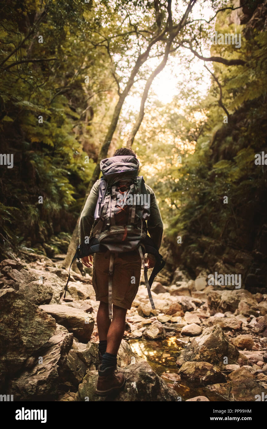 Rear view of young man with backpack walking over a rocky trail through ...