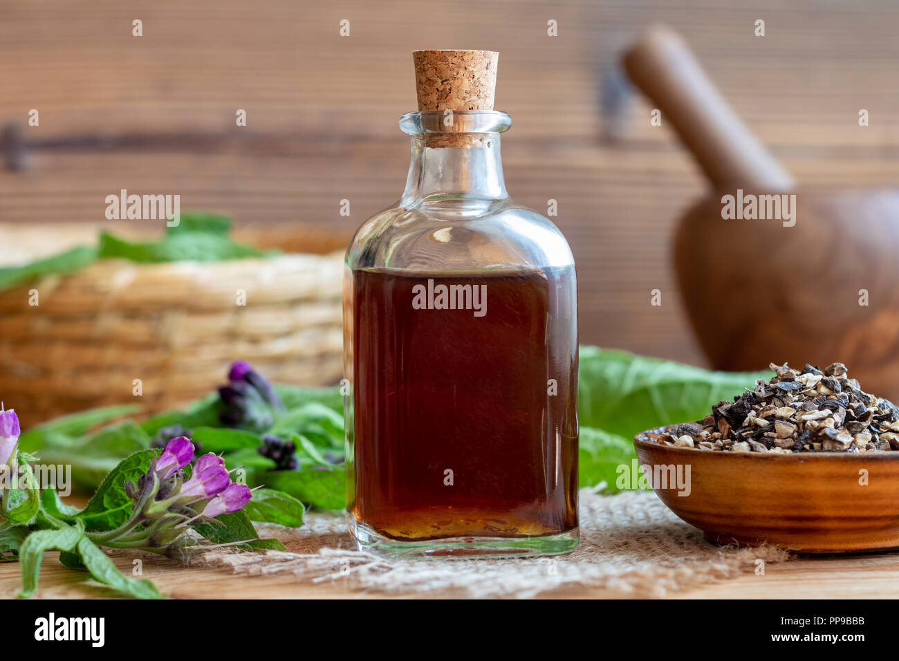 Comfrey tincture with dried root and fresh plant Stock Photo - Alamy