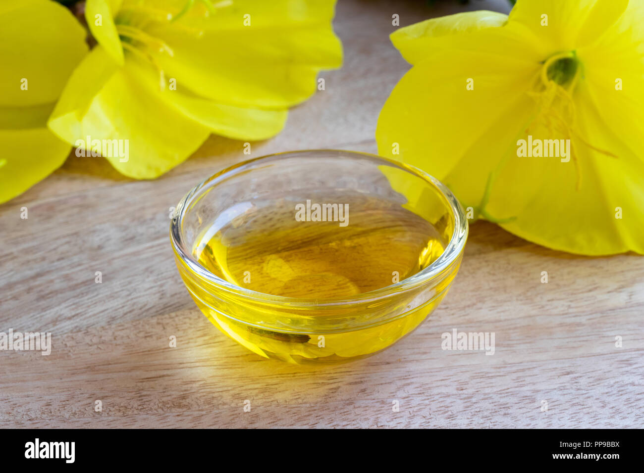 Evening primrose oil with blooming oenothera biennis plant Stock Photo ...