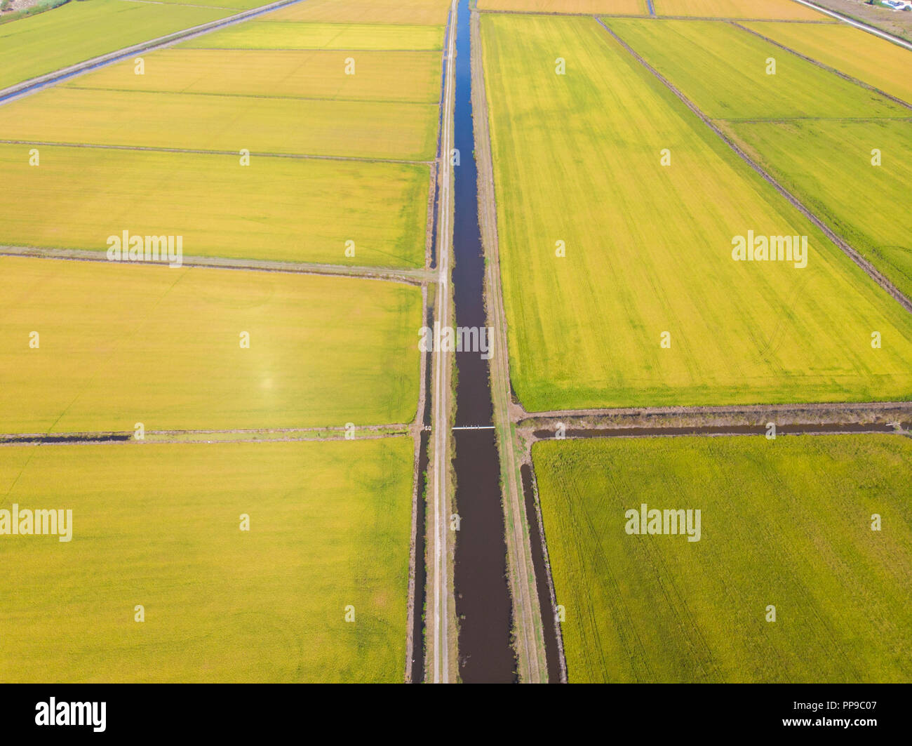 Aerial panorama of the rice fields in Comporta on the Alentejo Coast ...